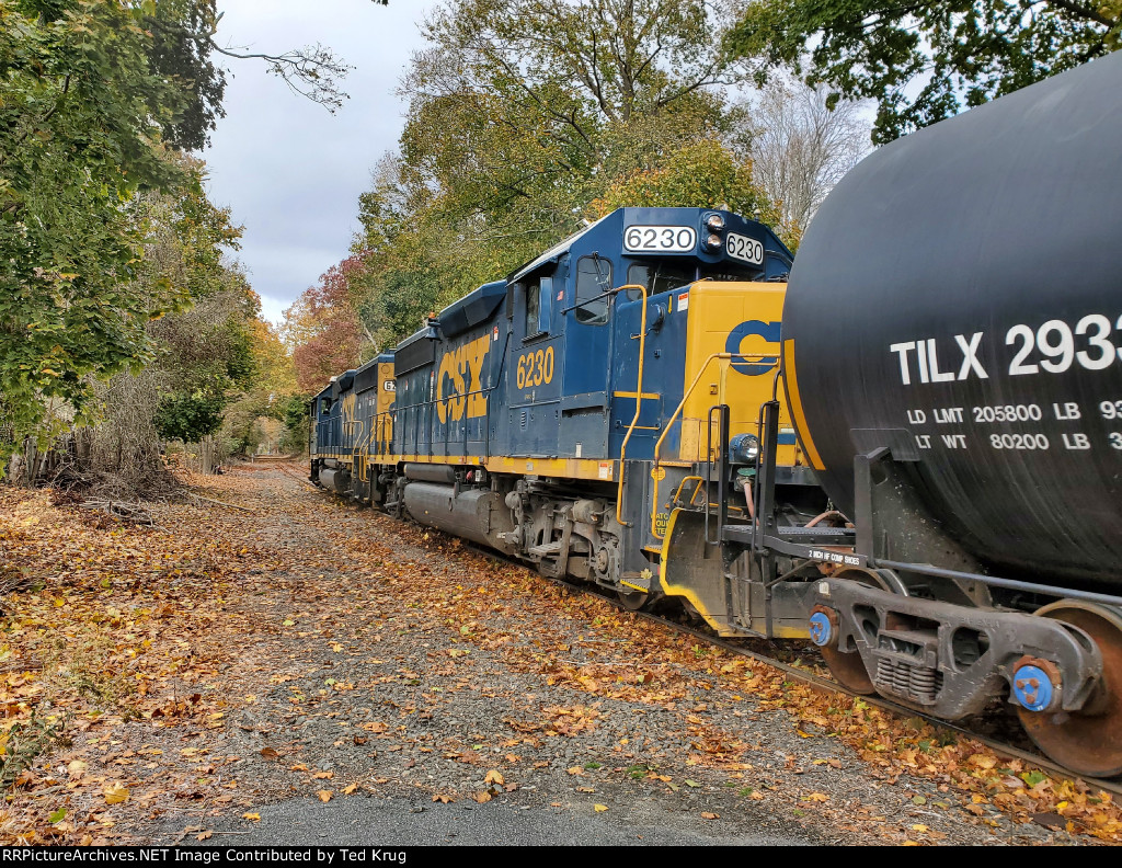 CSX 6245 & 6230
